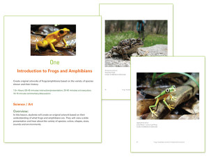 Frogs and Amphibian Education with Art Curriculum - K-3 | Frogs Are Green