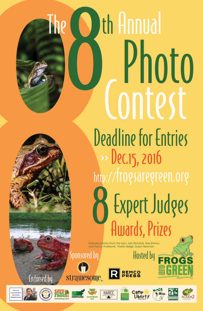 8th Annual Frogs Are Green Photo Contest | Frogs Are Green