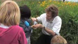 2017 Kids Art Contest - Amphibians & Reptiles | Frogs Are Green