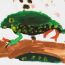Winners 2016 Kids Art Contest - Part One | Frogs Are Green